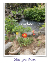 MK316.github.io | I am a Phonetics & Phonology researcher and educator affiliated with the Dept ...