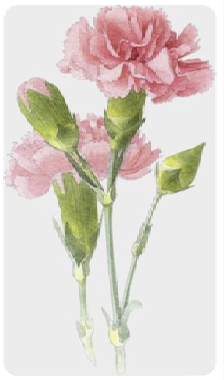 MK316.github.io | I am a Phonetics & Phonology researcher and educator affiliated with the Dept ...